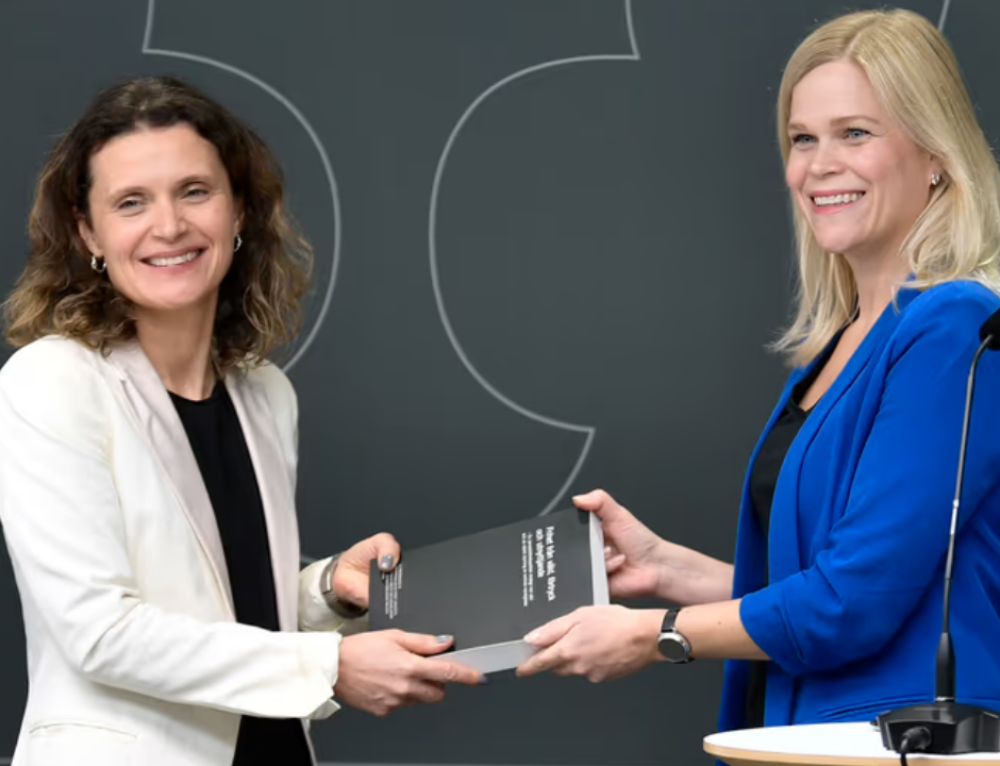 Åtgärdsprogram mot mäns våld mot kvinnor - Kvinnojouren Online